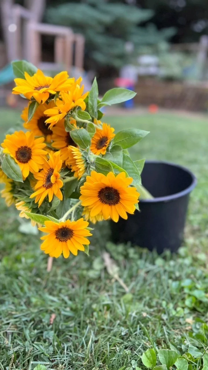 Brookfield Blooms