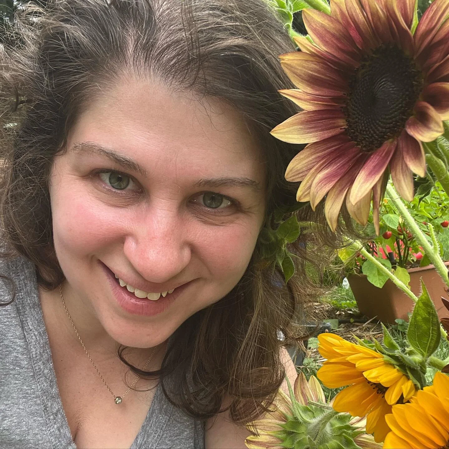 Brookfield Blooms