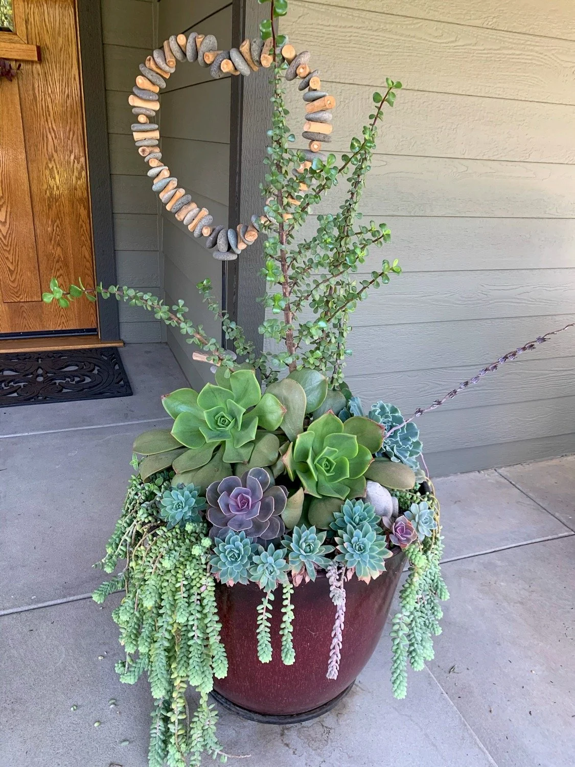 Container Gardening — Artful Succulents