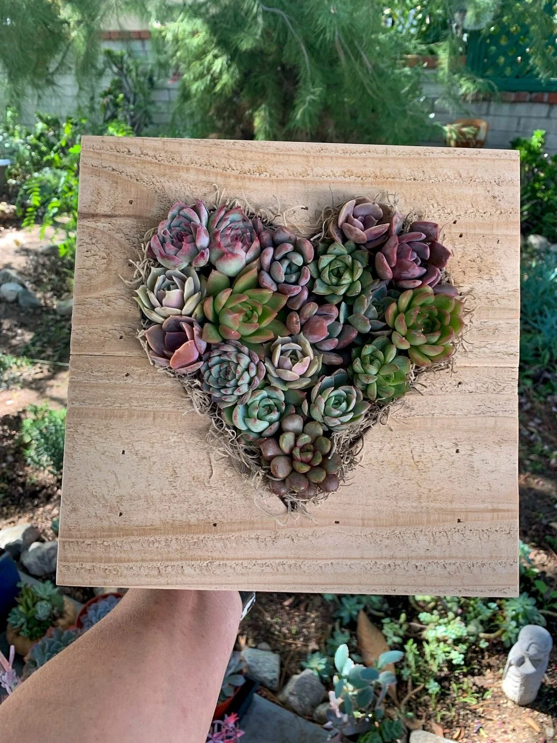 Wood — Artful Succulents