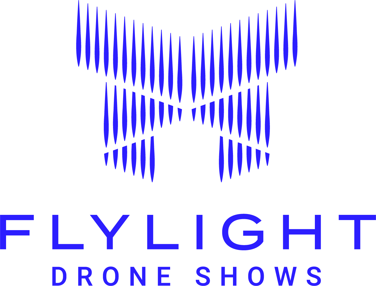 FlyLight Drone Show - Home