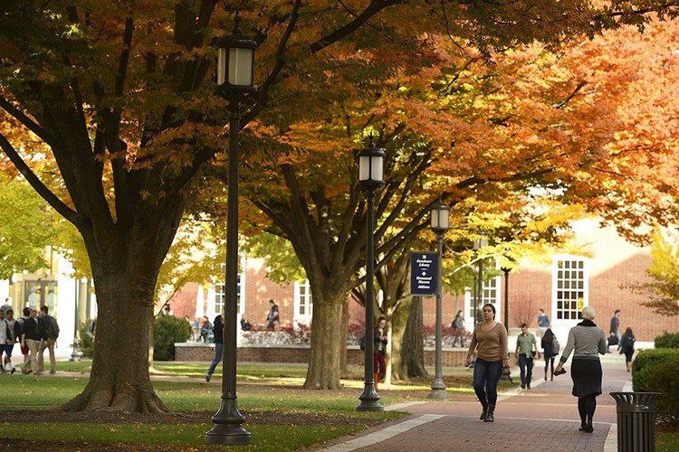 The pros and cons of Johns Hopkins and how to get in — Big Green ...