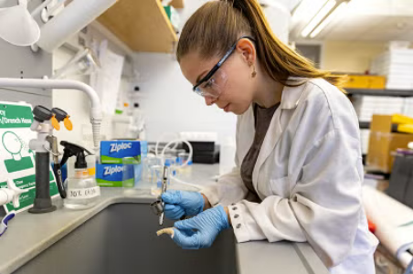 The pros and cons of UNC and how to get in — Big Green College Prep