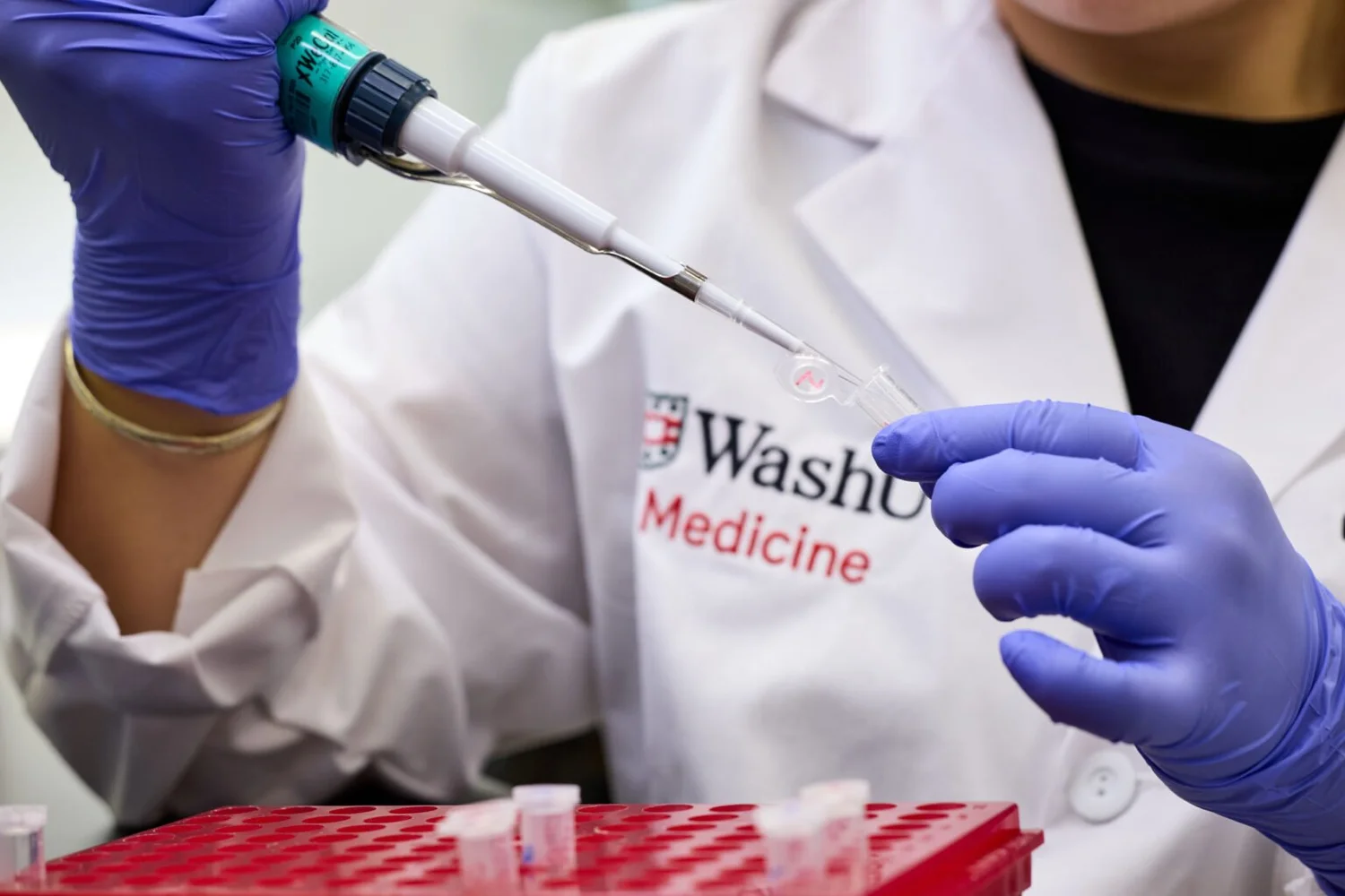 The pros and cons of Washington University in St. Louis and how to get ...