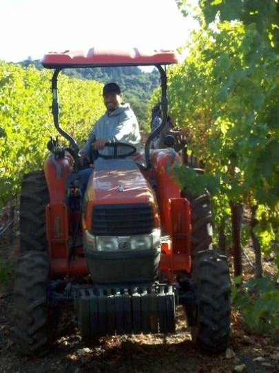 California — Copa Fina AZ