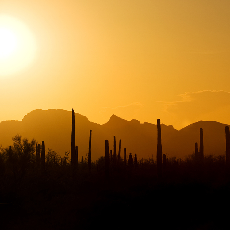 I-11 Coalition