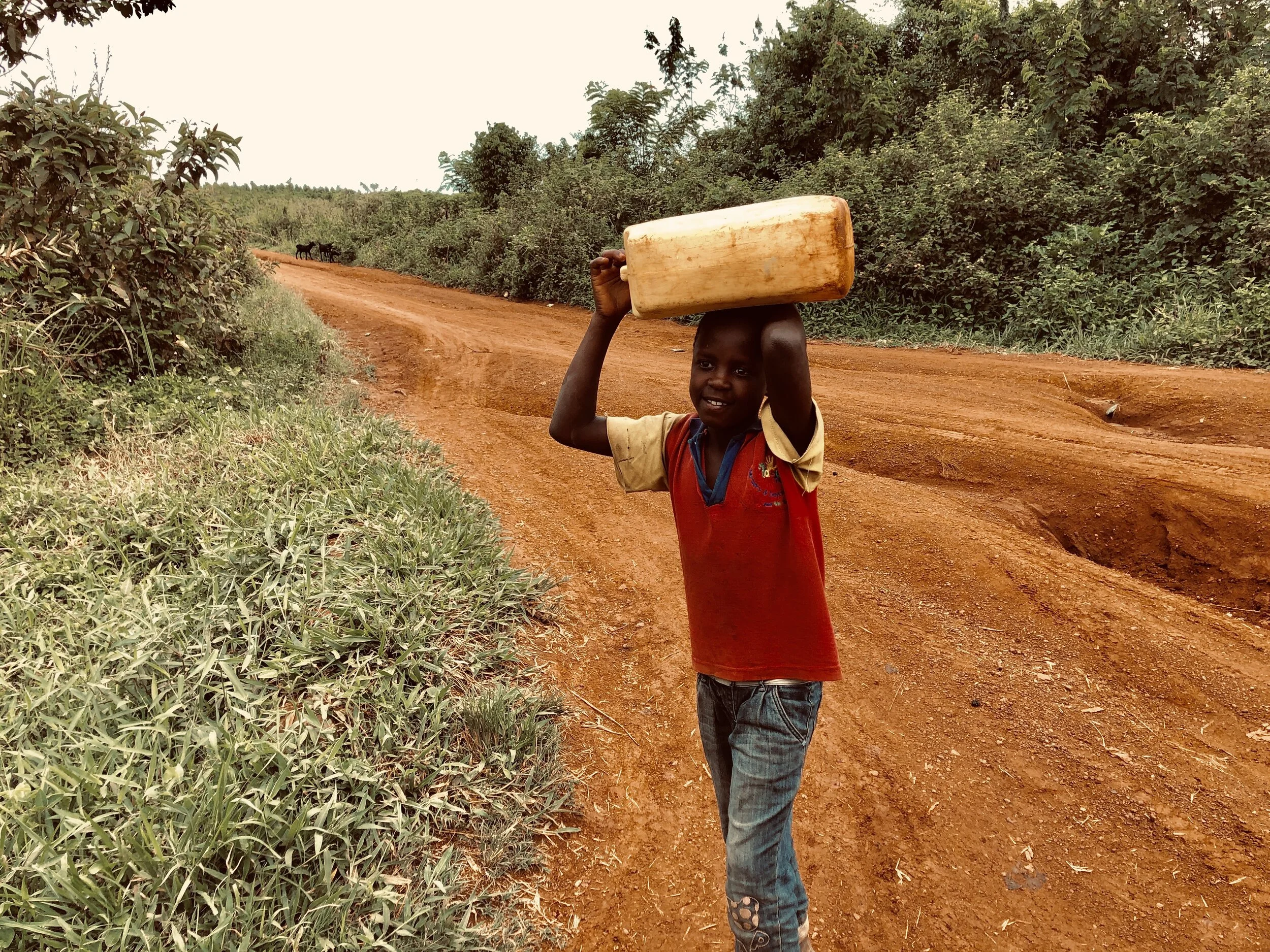 MicroFinance Alliance Africa Projects Foundation