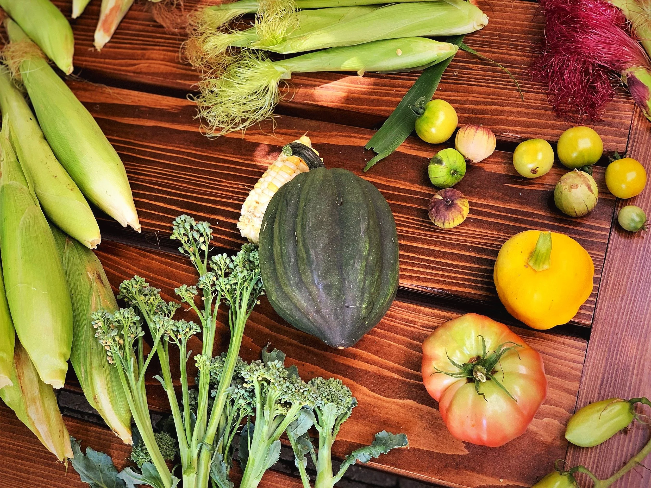FAQ — Ground Provisions