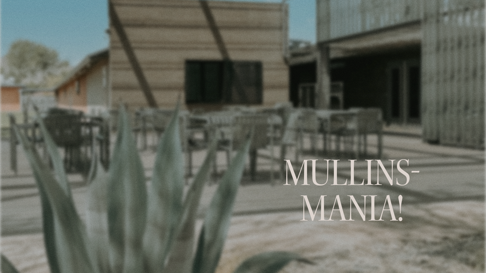 Mullins-Mania! A Night with Jim Mullins and the “Symphony of Mission ...