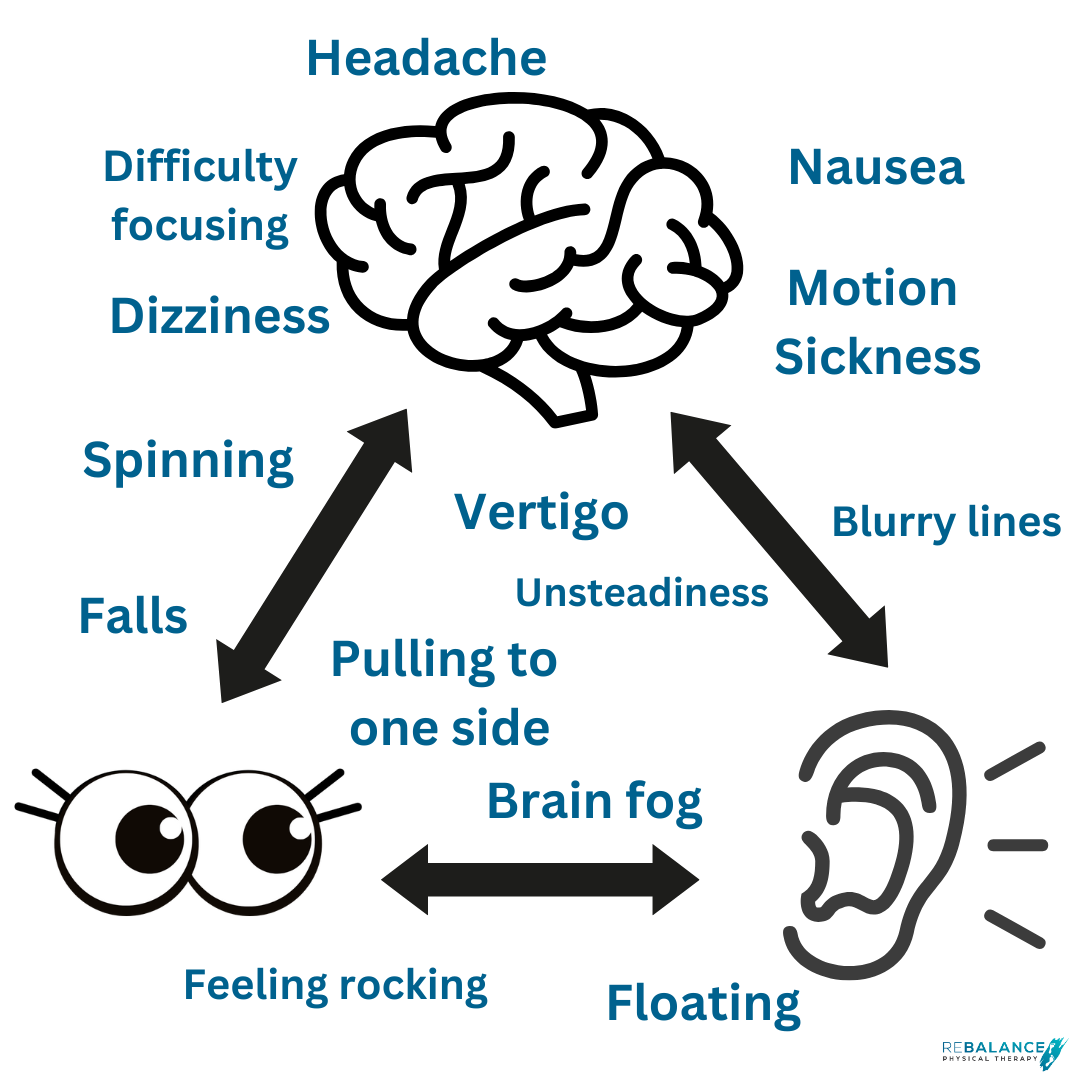 How to Recognize Symptoms of a Vestibular System Dysfunction and Where ...