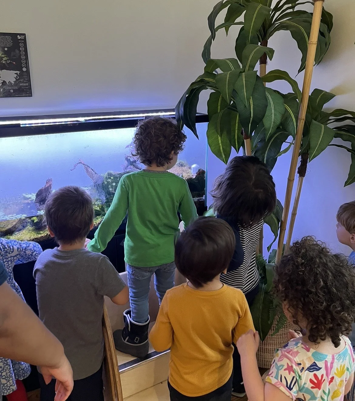 Field Trips — LASC