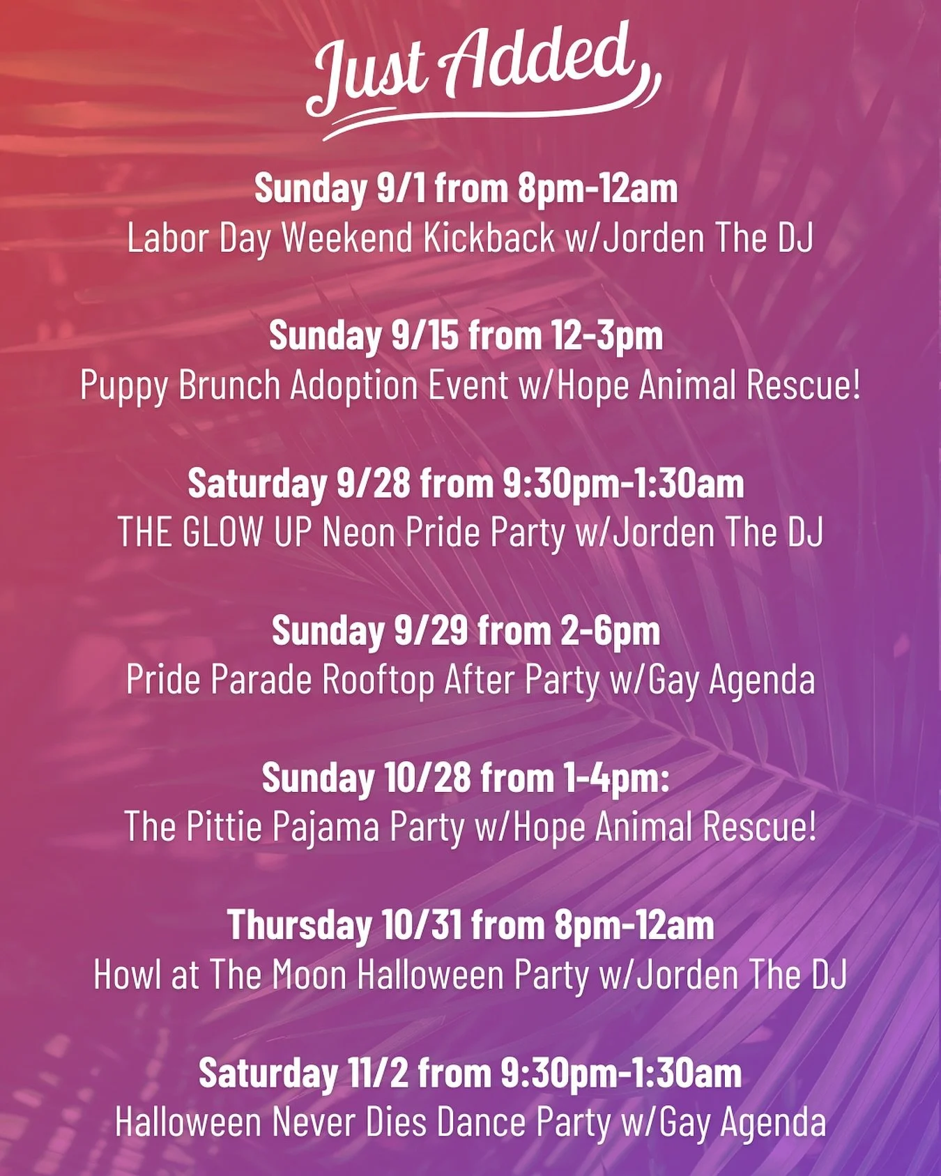 The Velvet Hippo Rooftop Bar & Lounge | Durham, North Carolina
