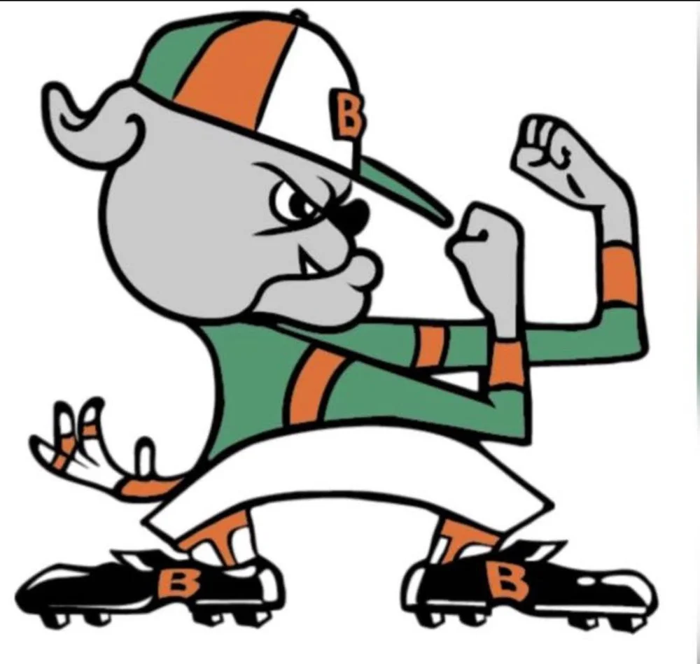 WillyB Bulldogs — WSL