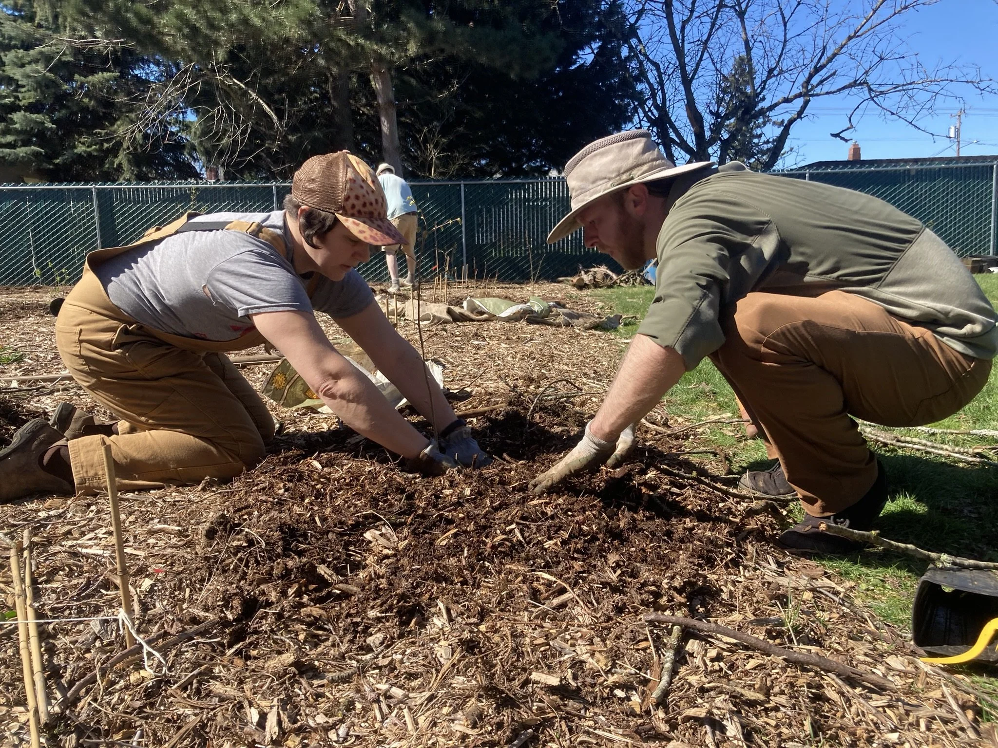 Portland Food Forest Initiative 501(c)3