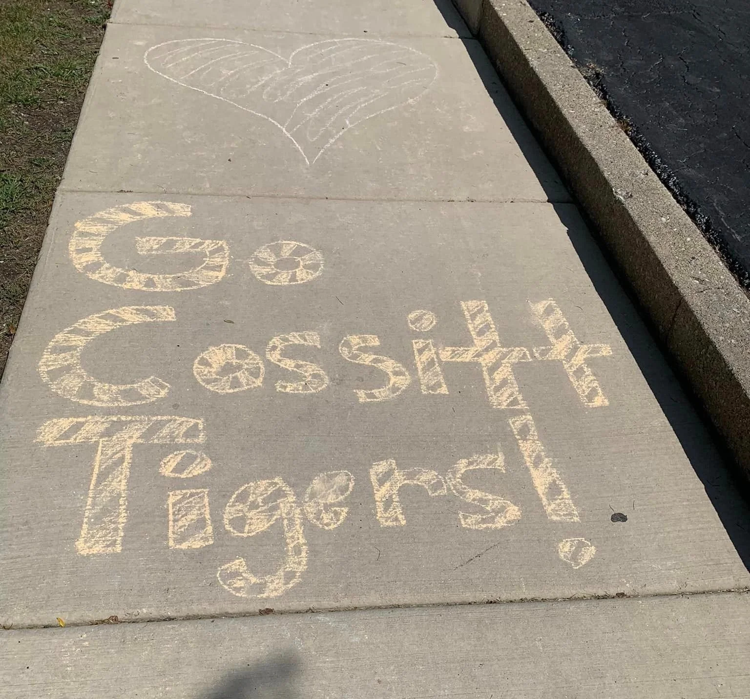 Back to School Party — Cossitt PTC