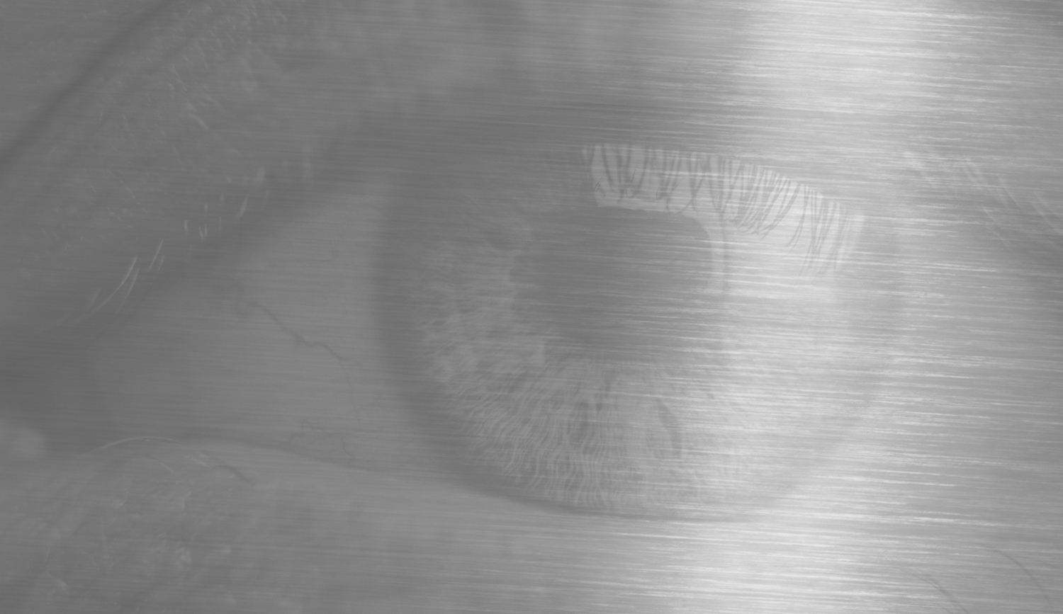 Silver Eye Examination — Ellis & Thompson Optometrists