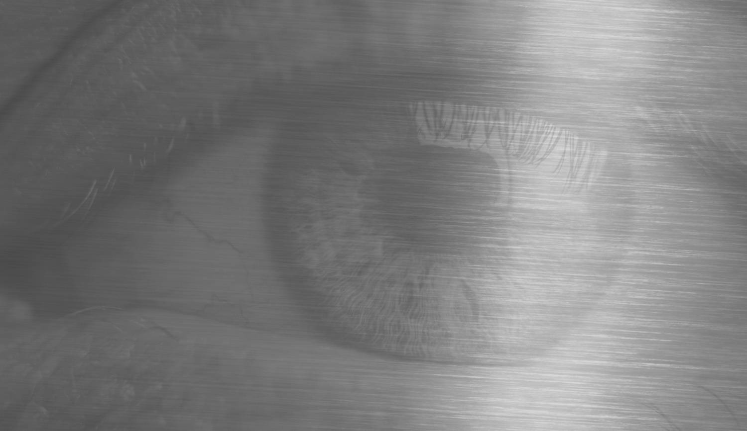 Platinum Eye Examination — Ellis & Thompson Optometrists