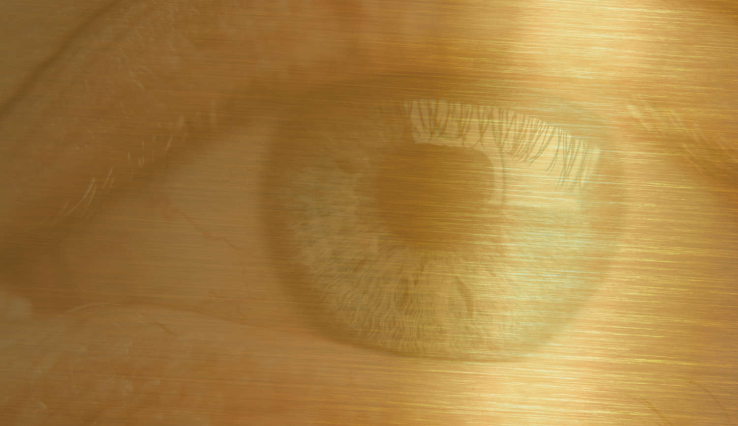 Gold Eye Examination — Ellis & Thompson Optometrists