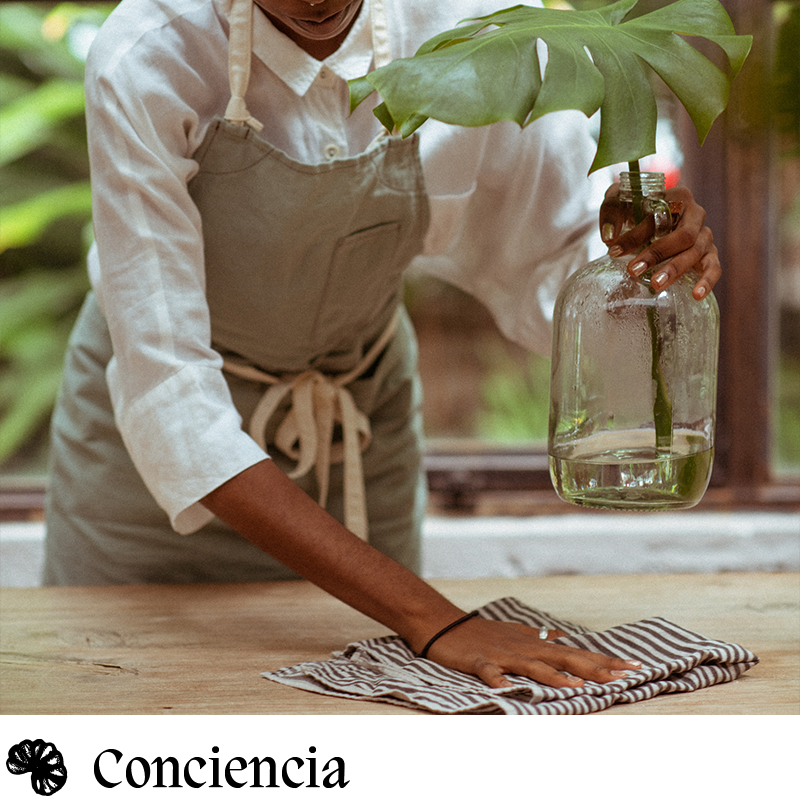 Maena - Punta de Mita