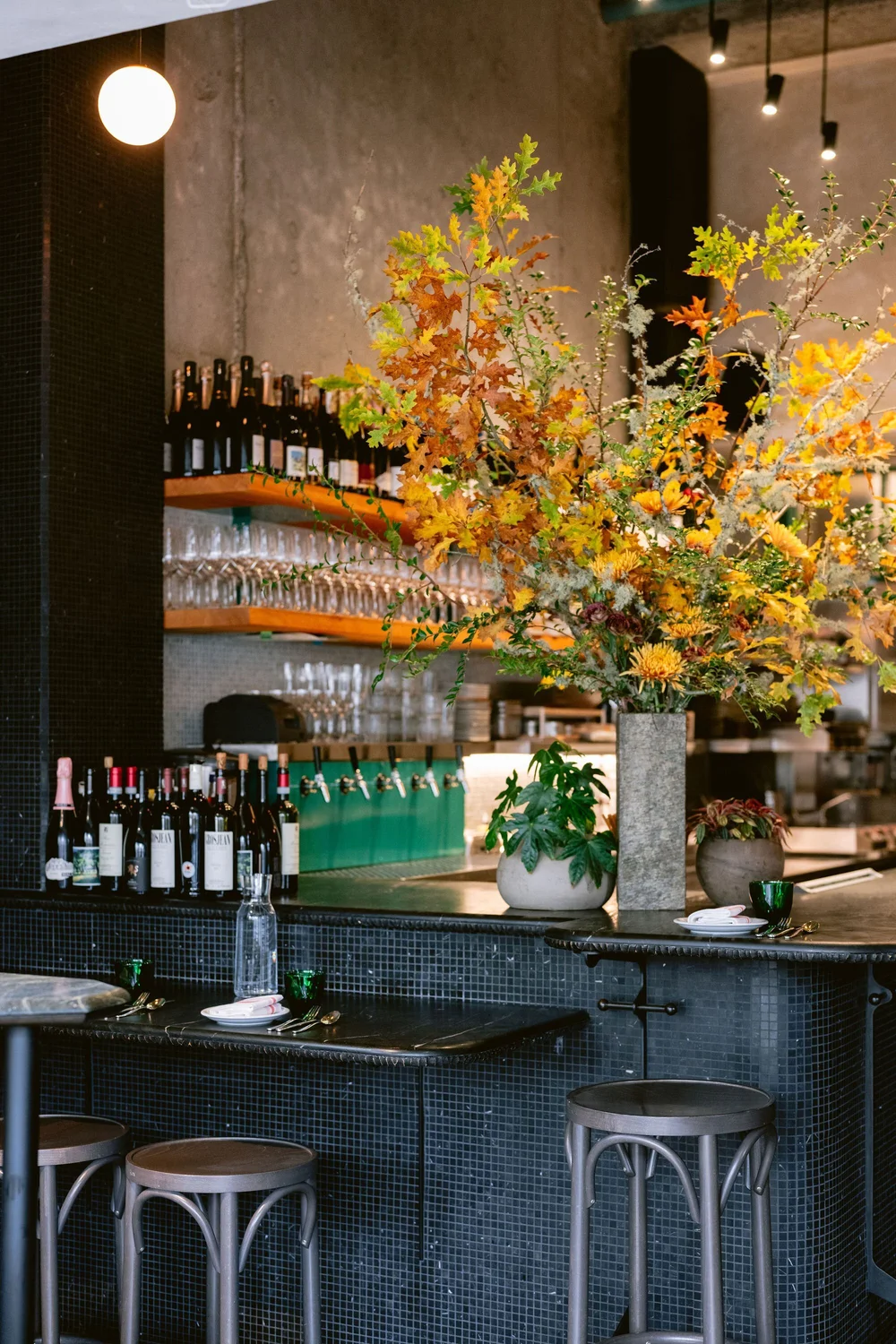 General 1 — The Anchovy Bar