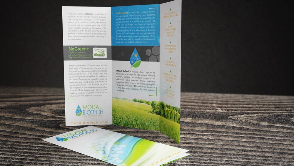 Collateral — Berge Design