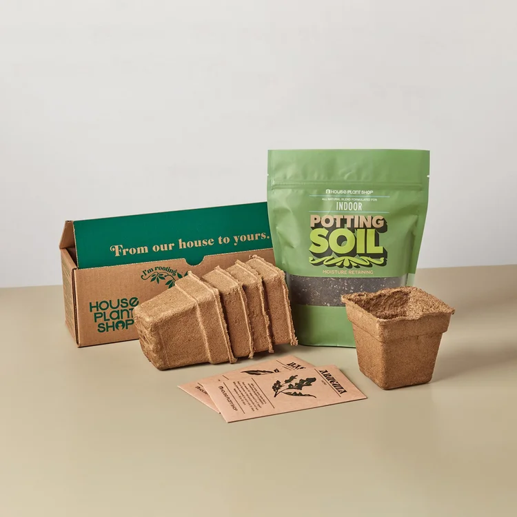 Current Boxes | Indoor Plant Subscription Box | Free Nationwide ...