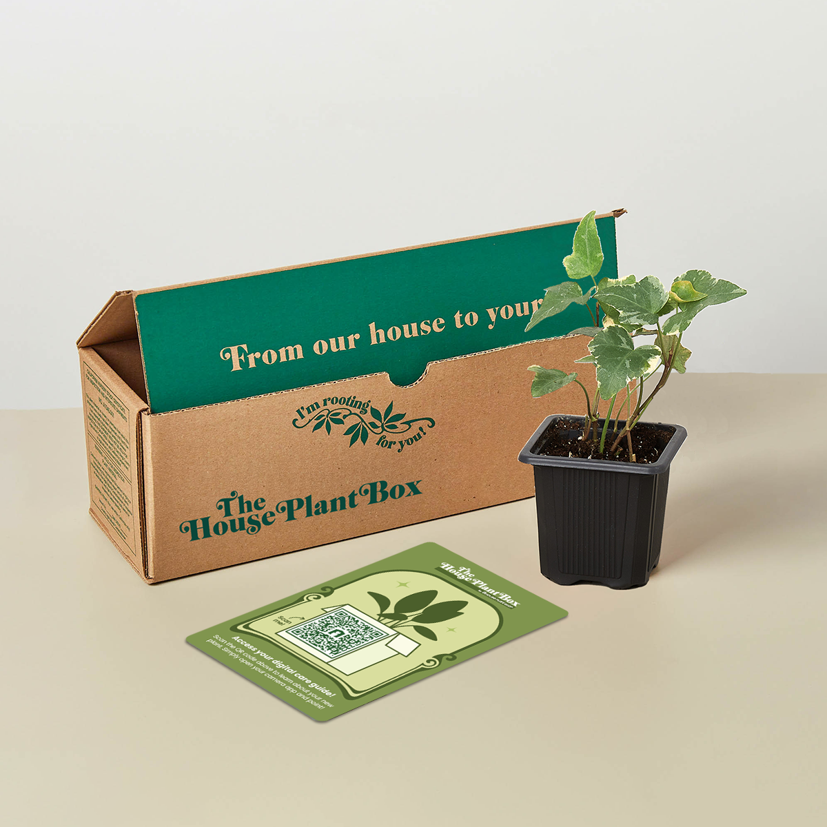 House Plant Box starting at $15 | Indoor Plant Subscription Box | Free ...