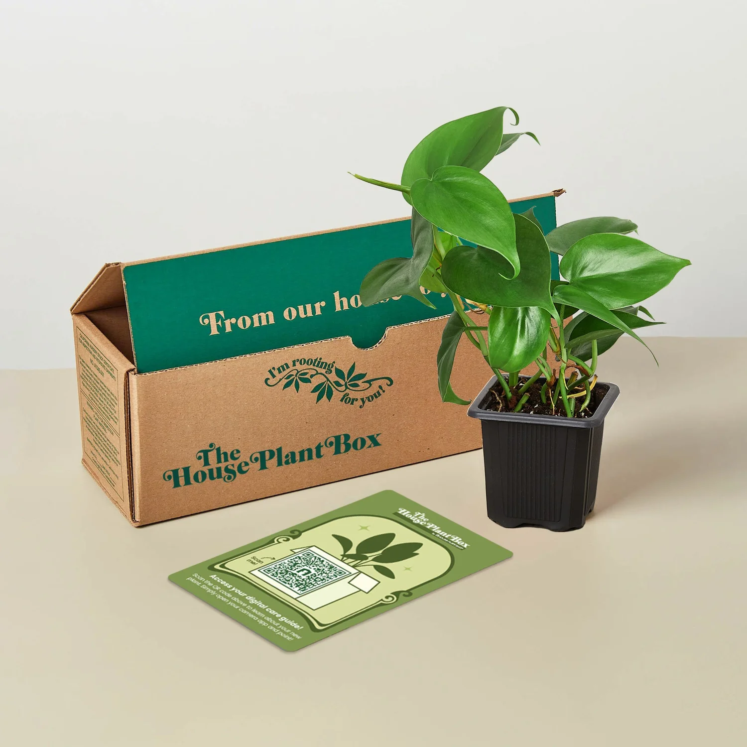 Monthly Subscription | Indoor Plant Subscription Box | Free Nationwide ...
