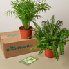 Premium House Plant Box — houseplantbox.com
