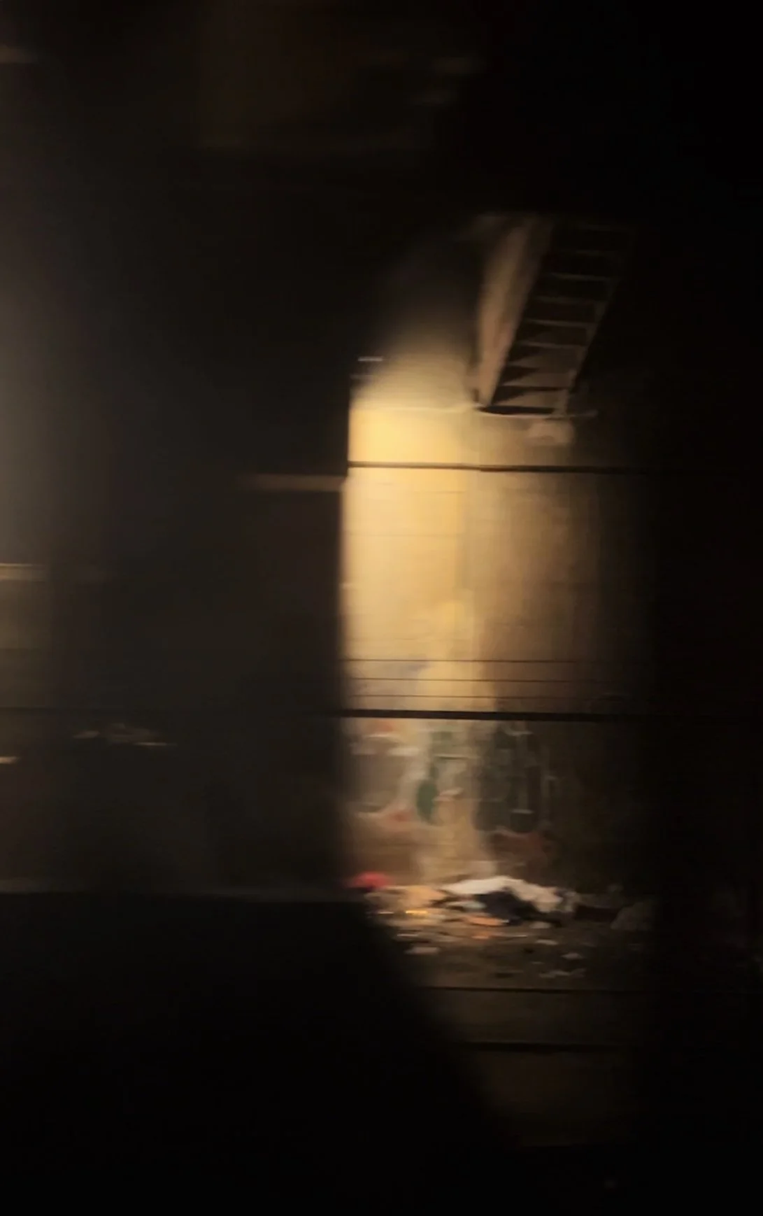 Blog 2 — The Palisades Review