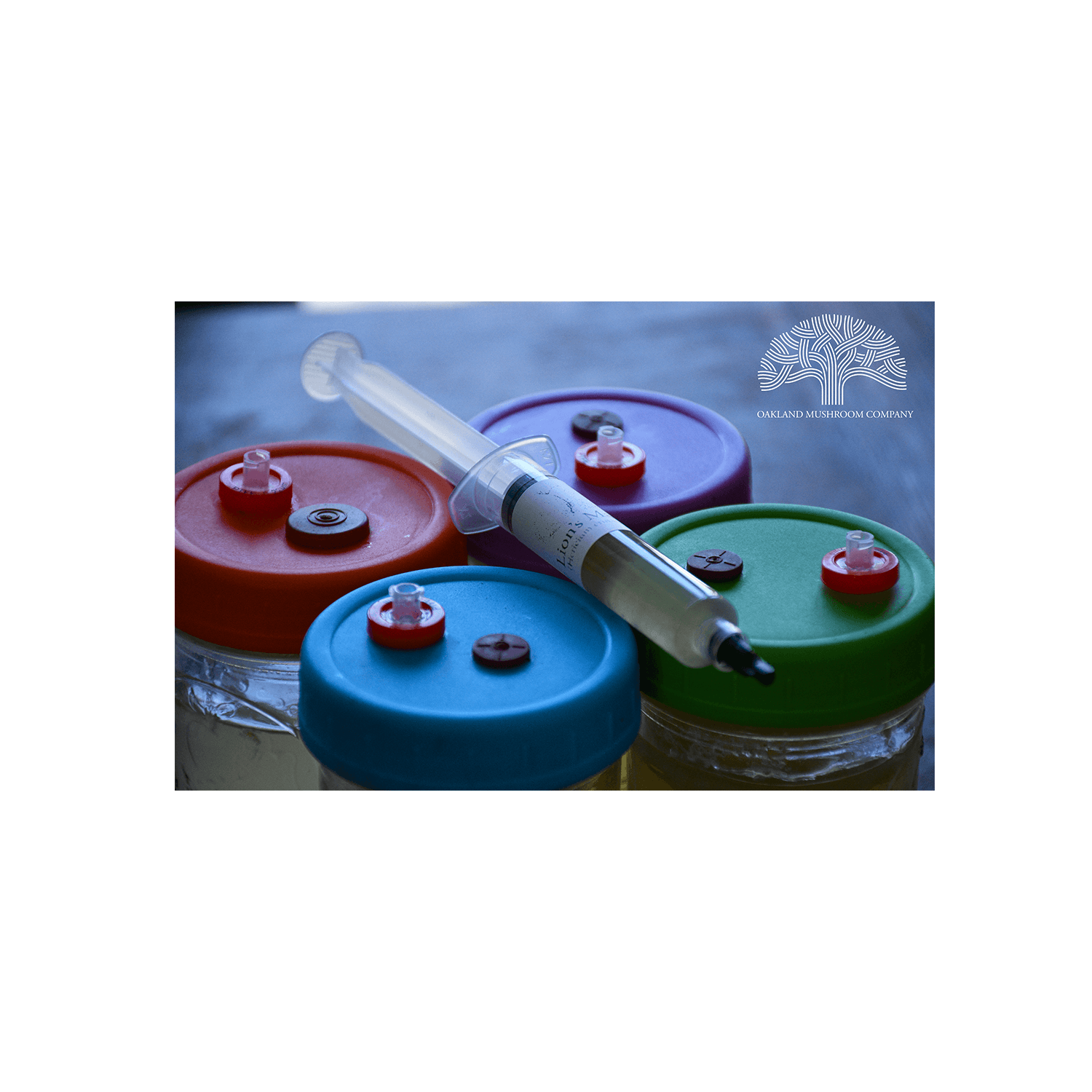 Oakland Mushroom Co. | Grow Kits | Liquid Culture | Substrate Bags