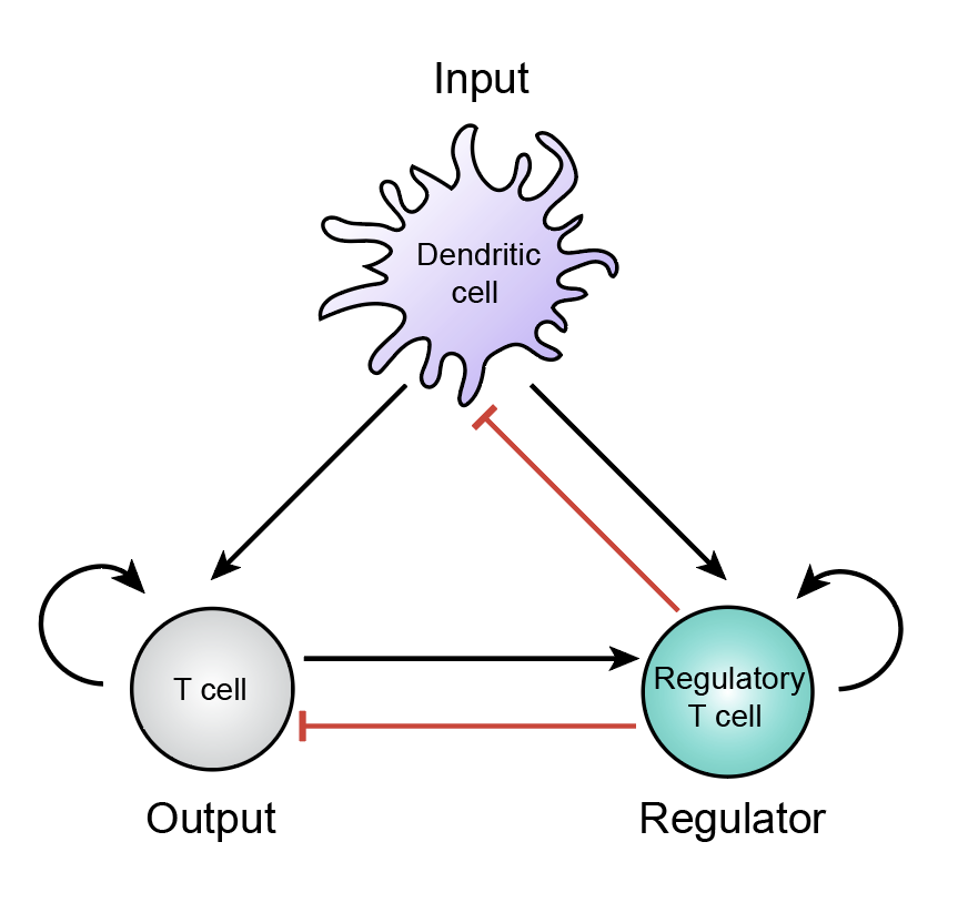 Research — Harikesh Wong Lab @ MIT and Ragon Institute