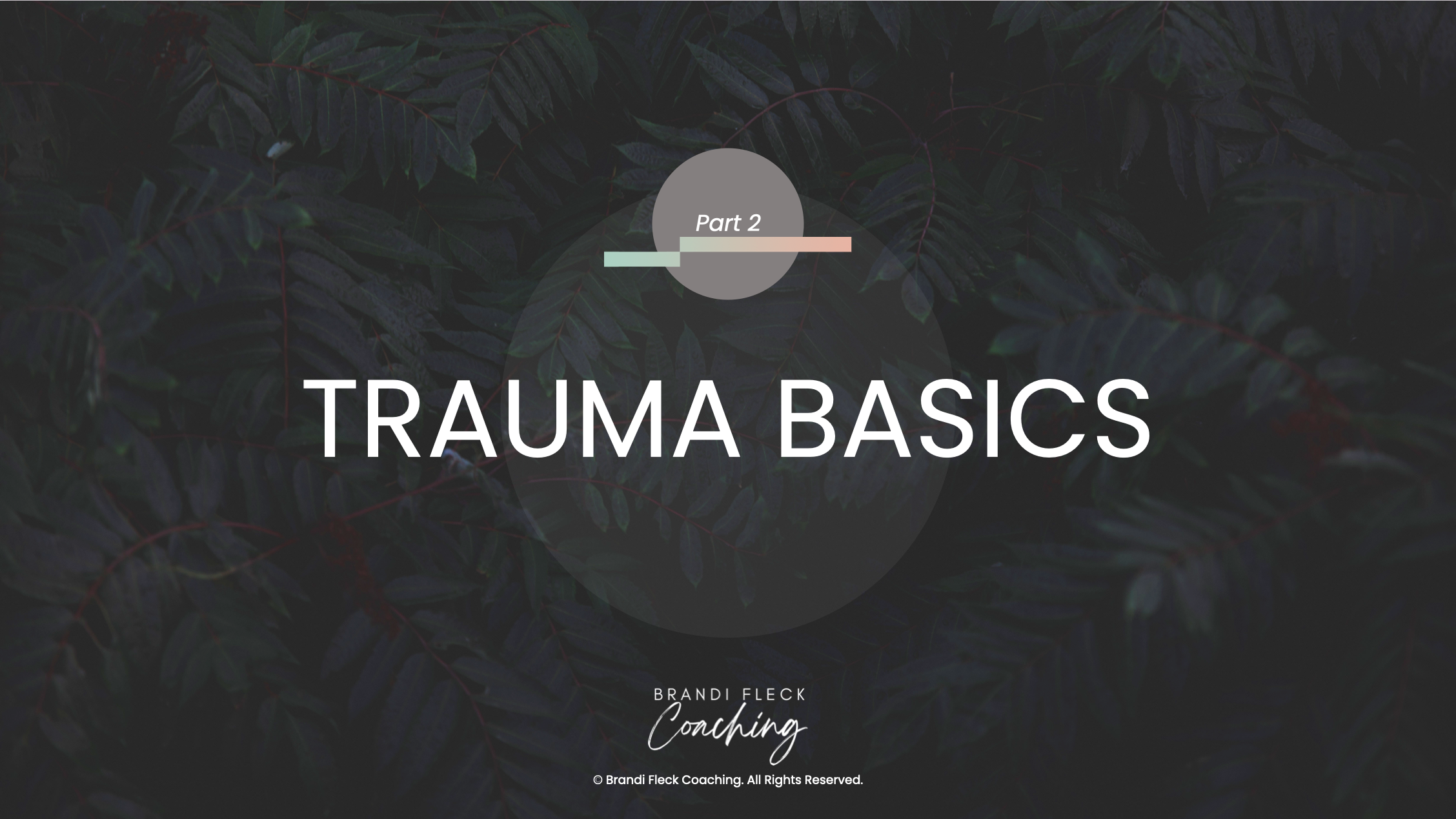 How to Break Your Trigger Loops — Brandi Fleck Coaching