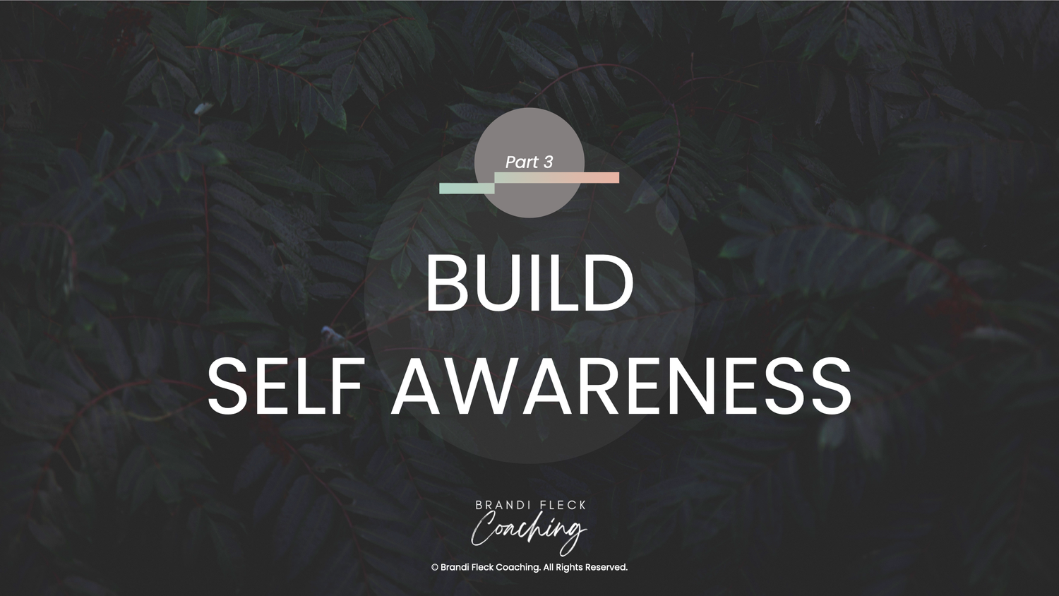 How to Break Your Trigger Loops — Brandi Fleck Coaching