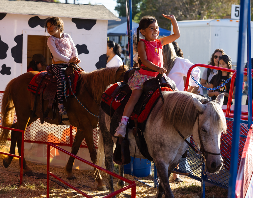 Petaluma Fair — Petaluma Fairgrounds