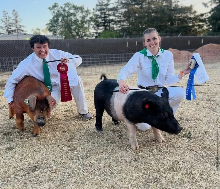 Petaluma Fair — Petaluma Fairgrounds