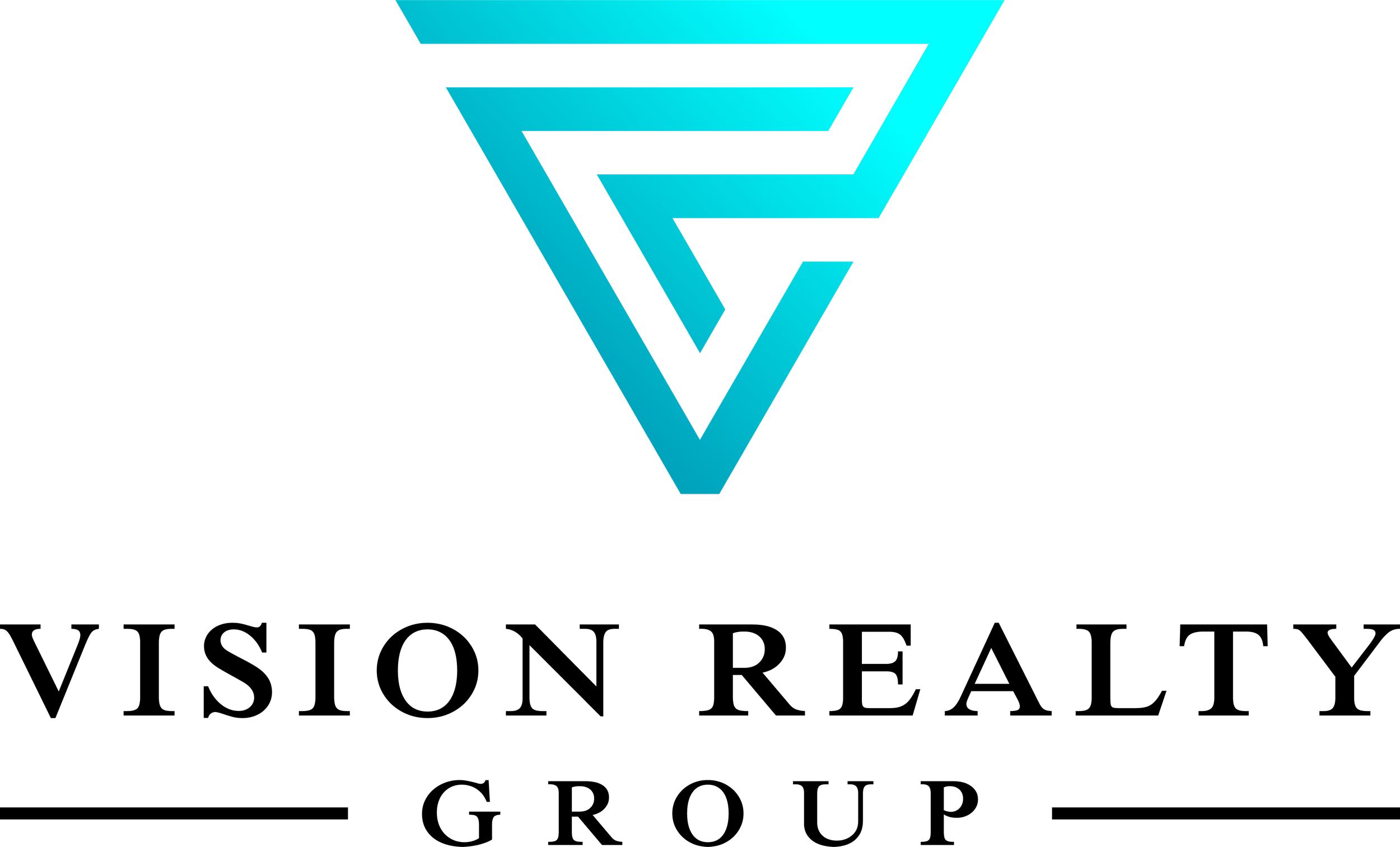 Susan Campanaro — The Vision Realty Group