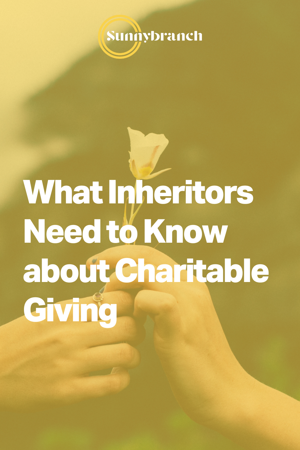 What Inheritors Need to Know about Charitable Giving — Sunnybranch Wealth