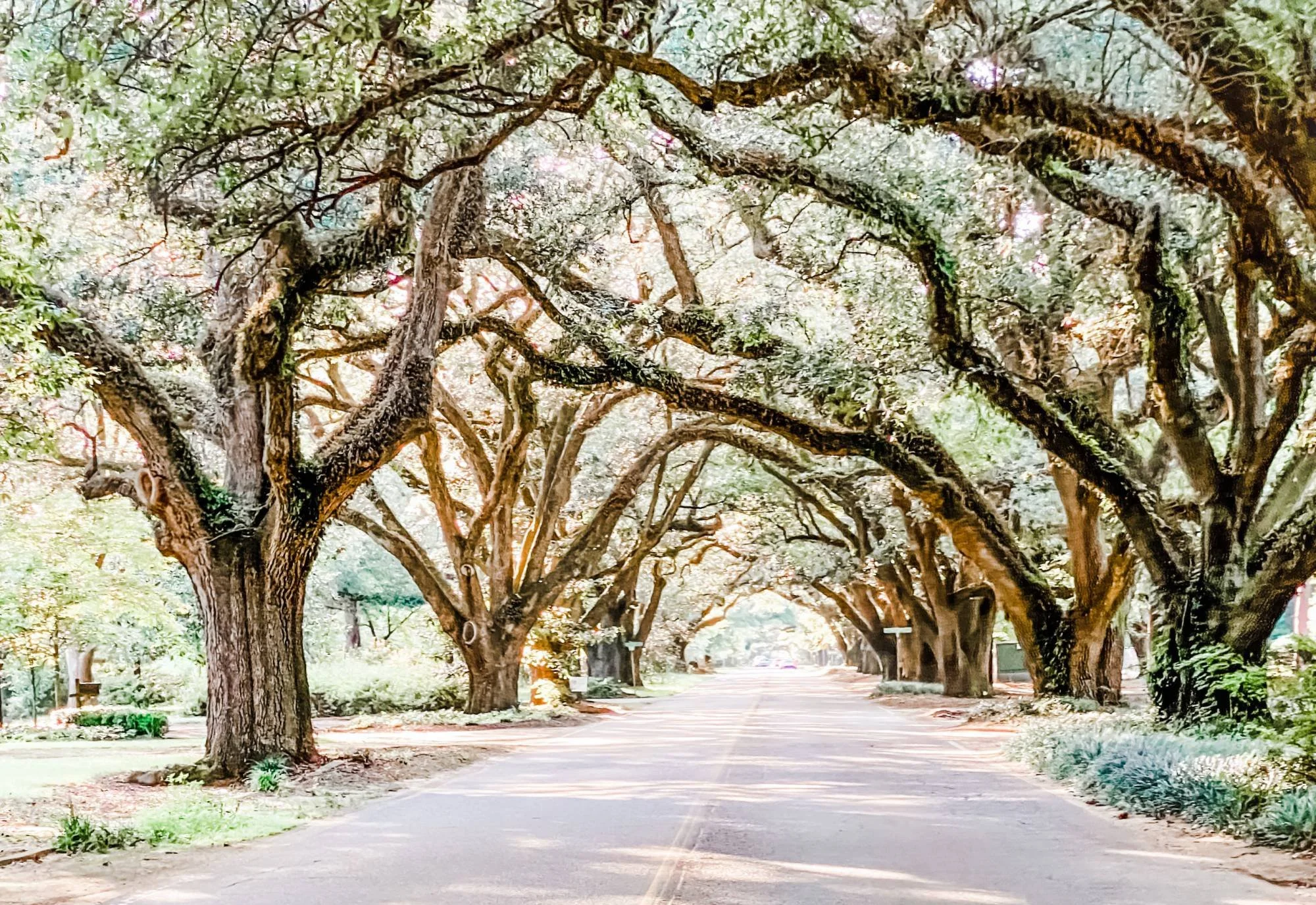 Move to Aiken SC | Living in Aiken South Carolina