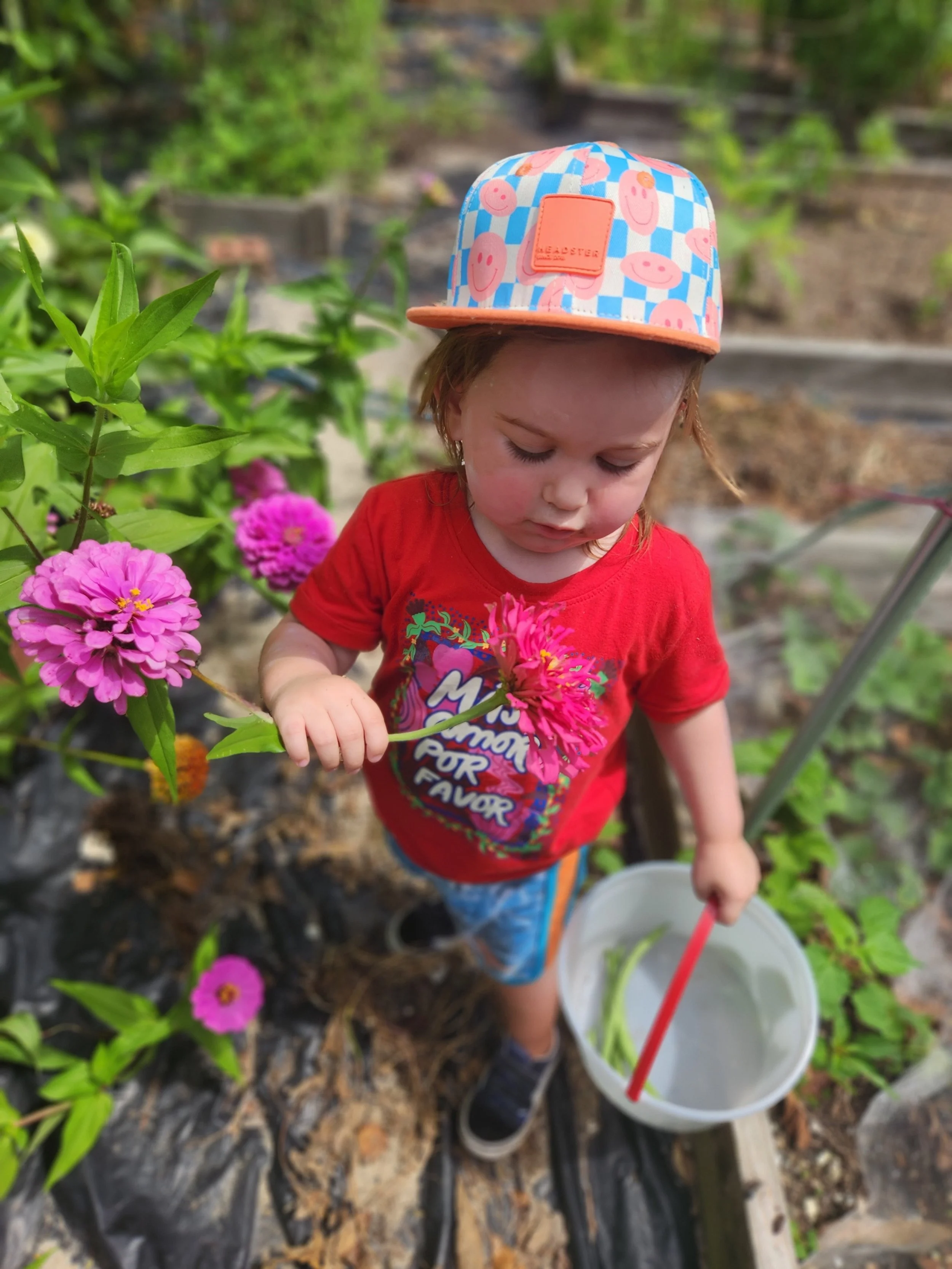 ABOUT — Finley's Flowers