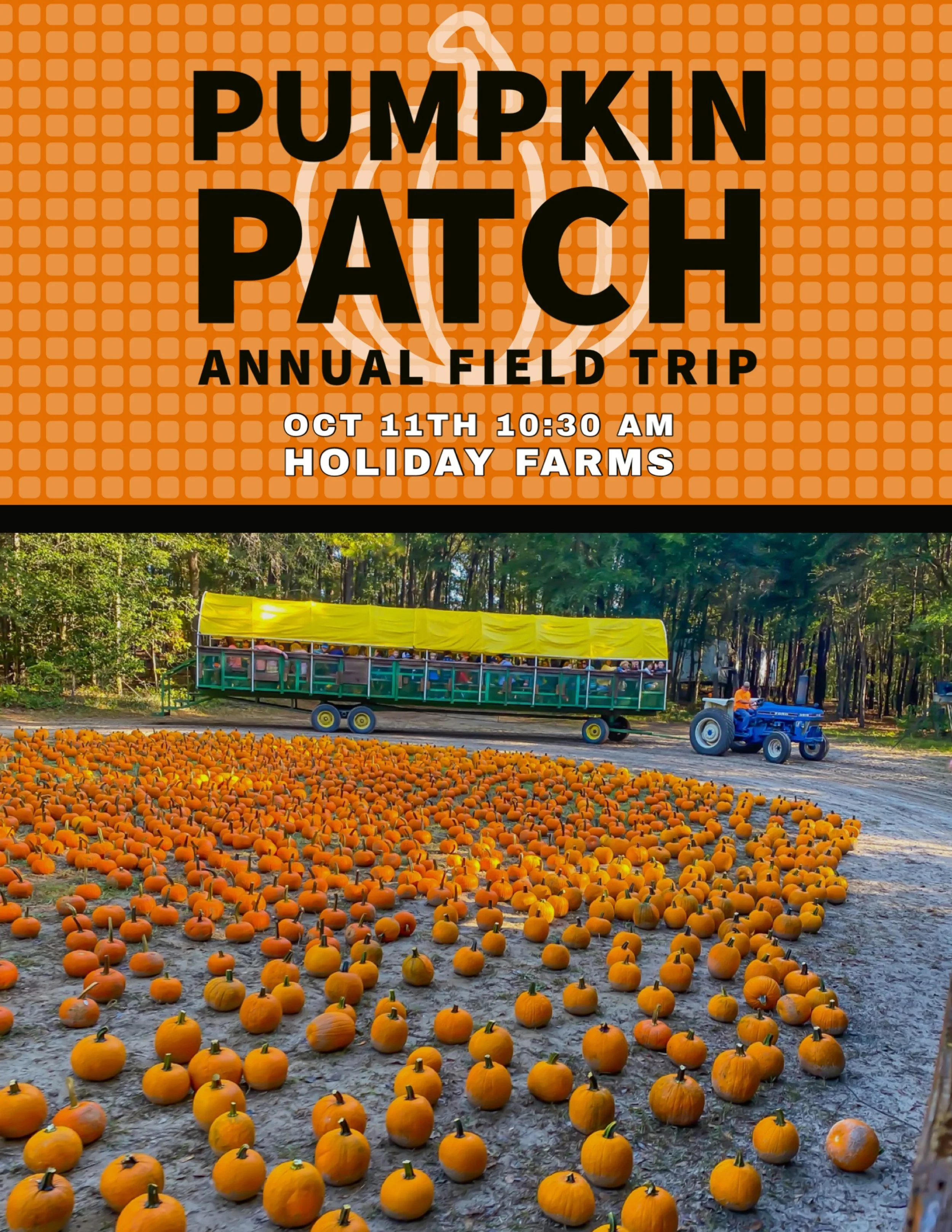Holiday Farms Pumpkin Patch — Lowcountry Field Trips
