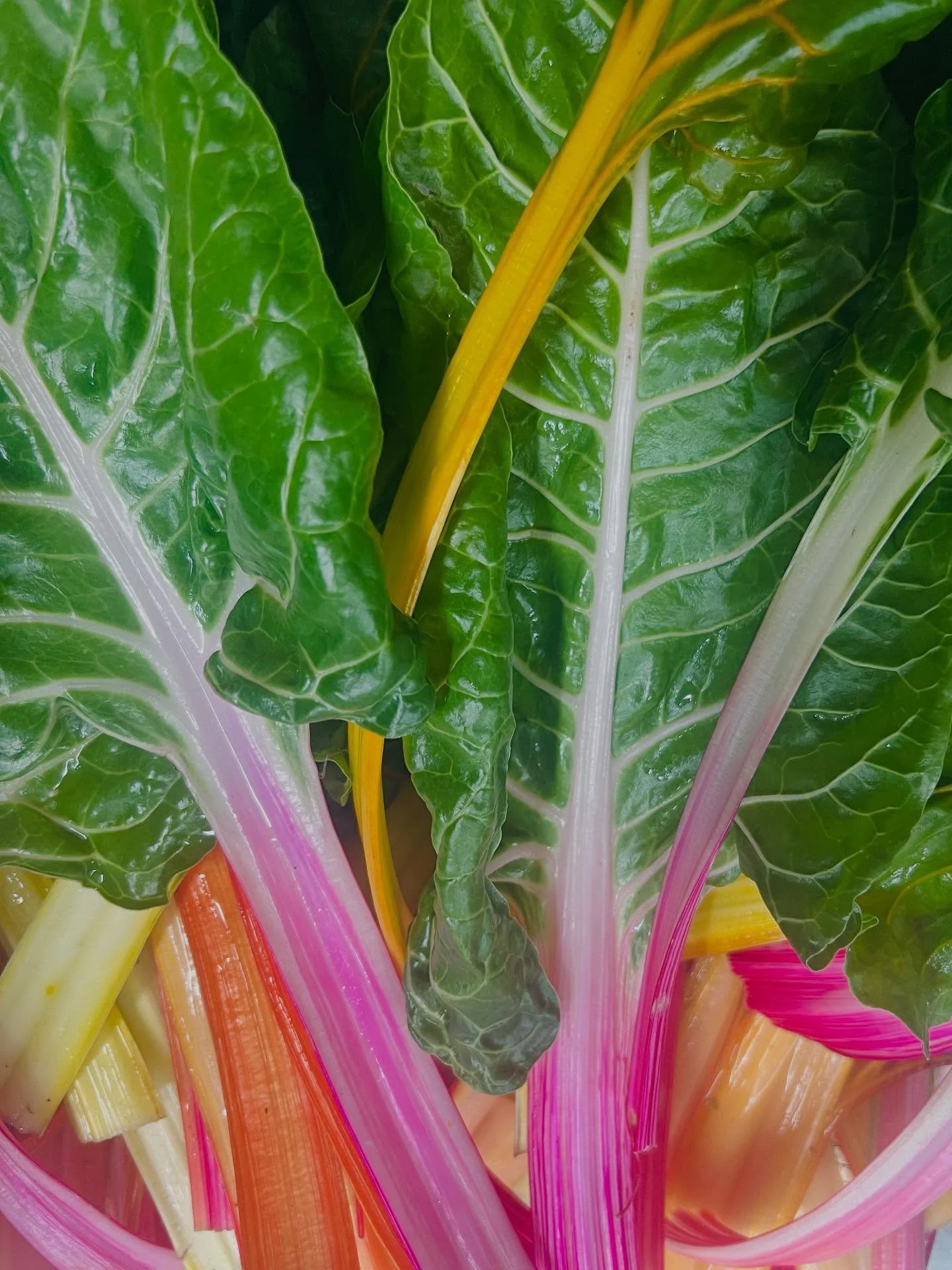 Menu | Explore Our Seasonal Menu Today — eat at Millside