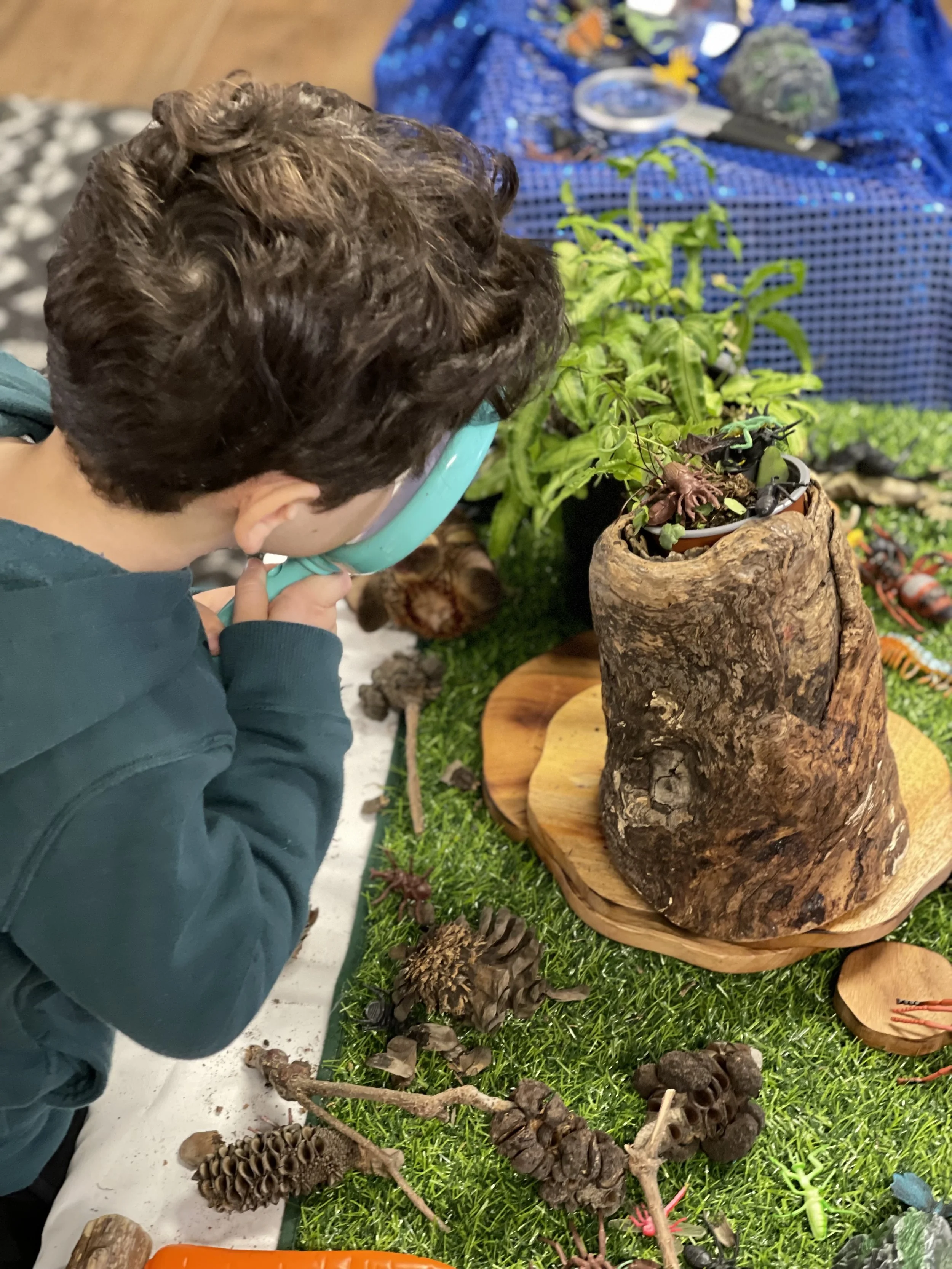 Learning environments — Wetherill Park Preschool