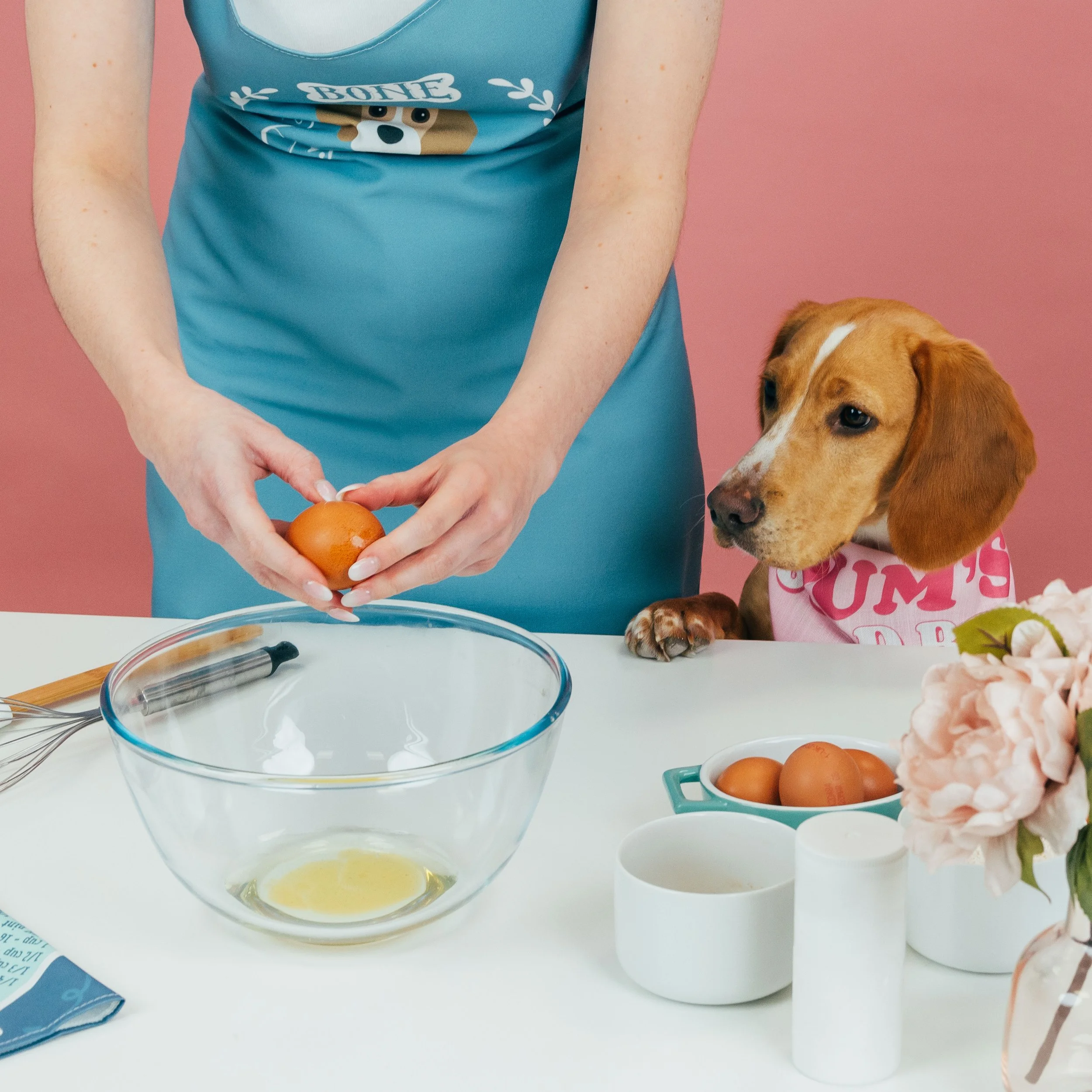 Dog Baking