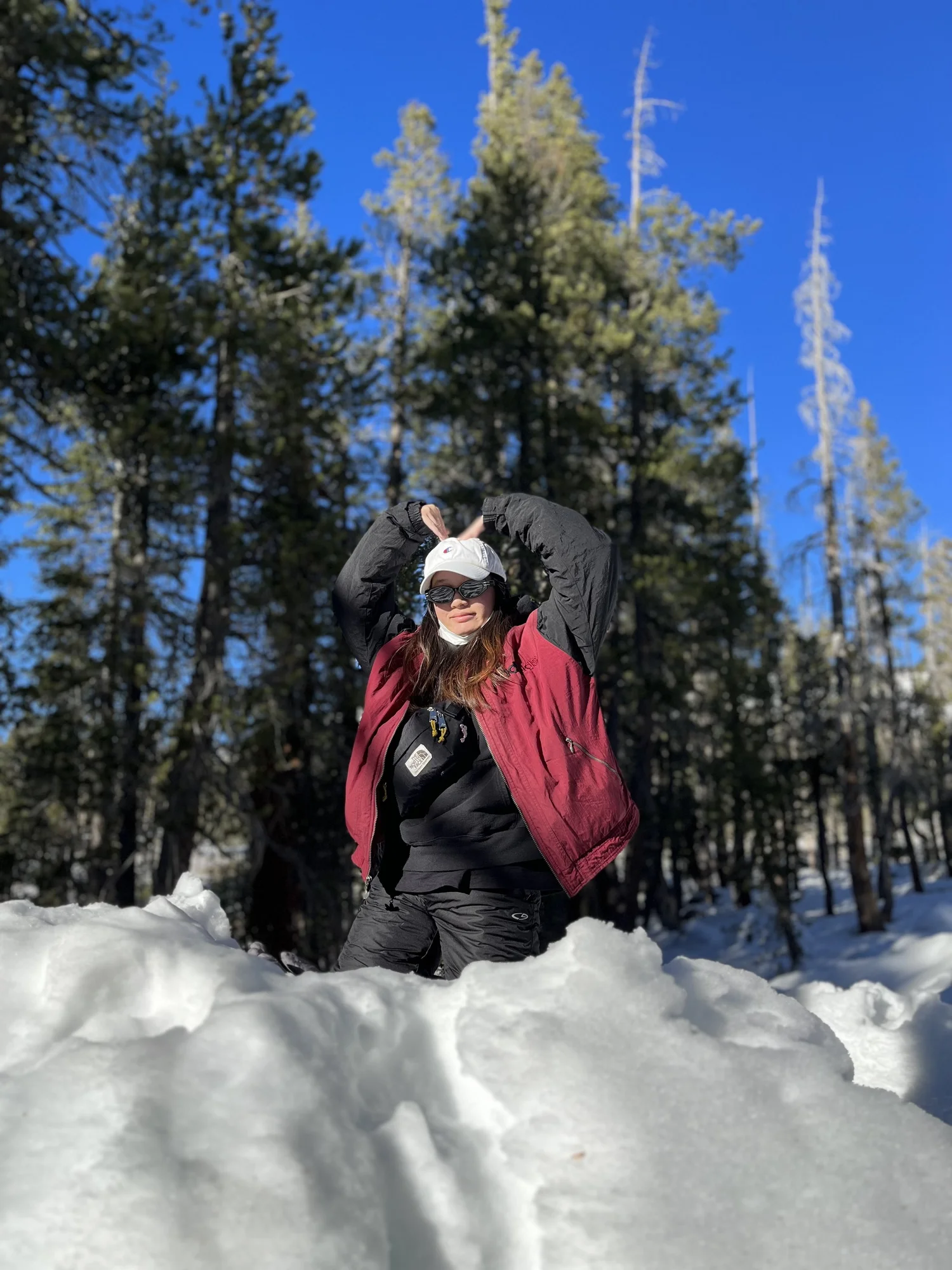 Team — Sogin Lab @ UC Merced