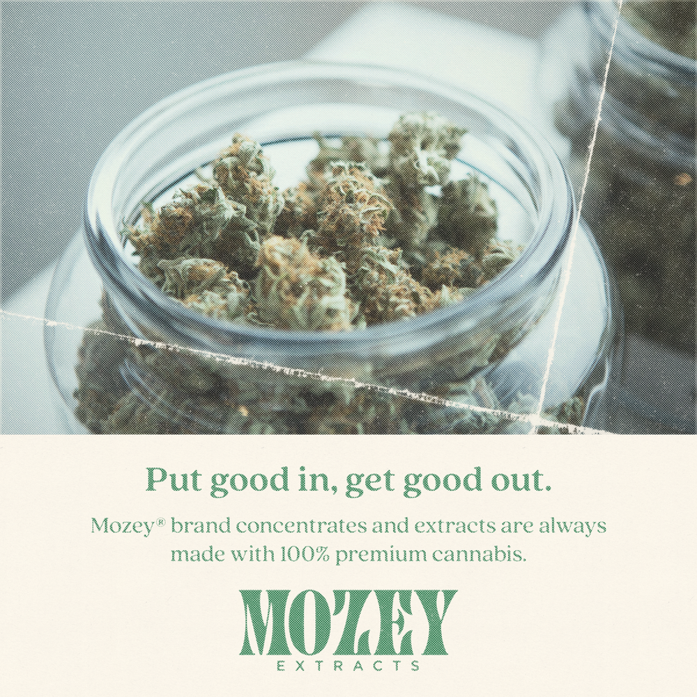 Mozey Extracts