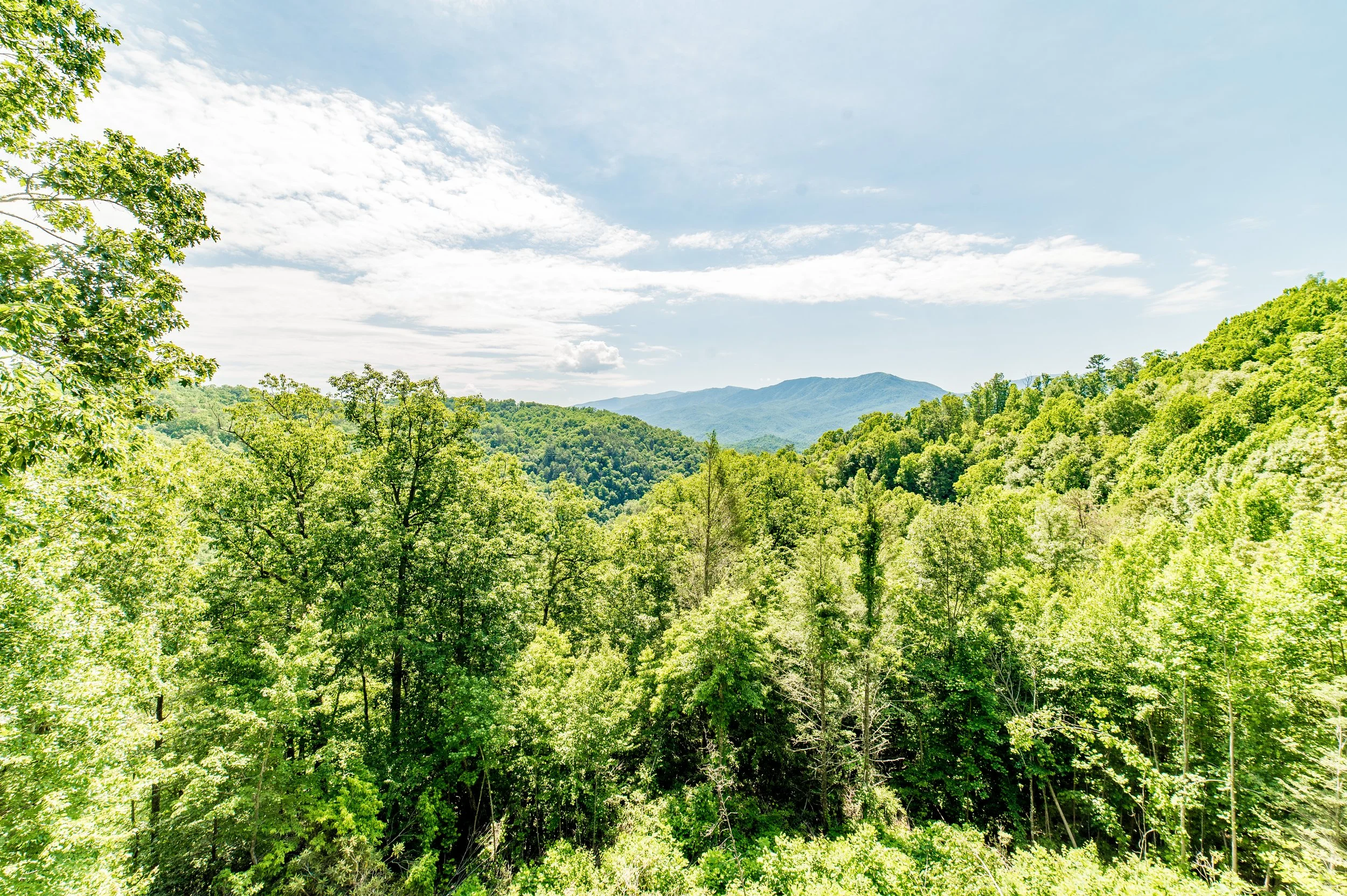 Tennessee | Book Your Tennessee Stay Now — Vacation Lovers