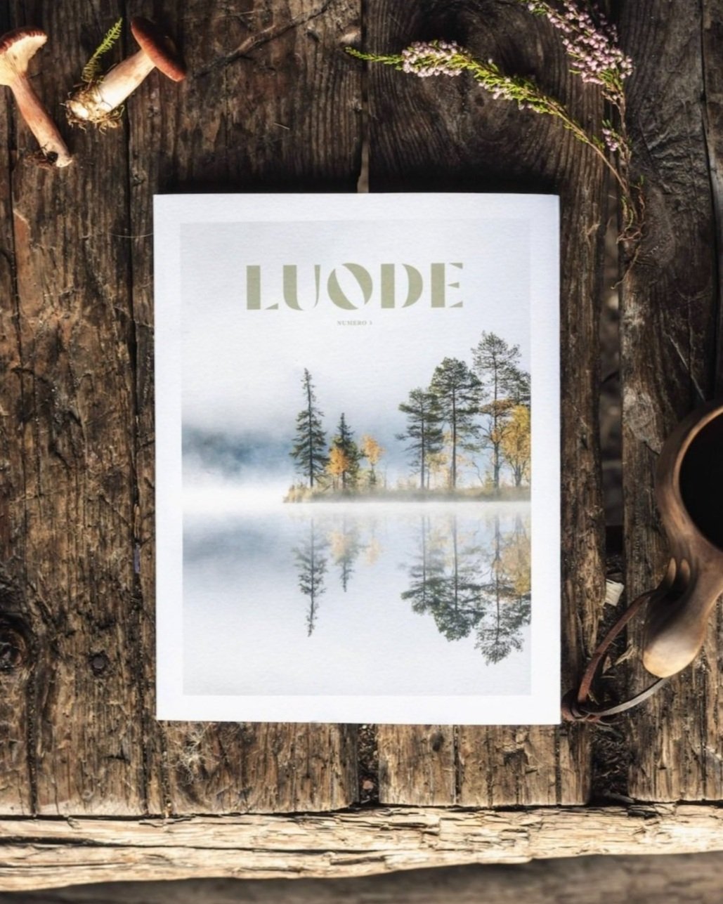 Lehtikauppa — Luode Stories