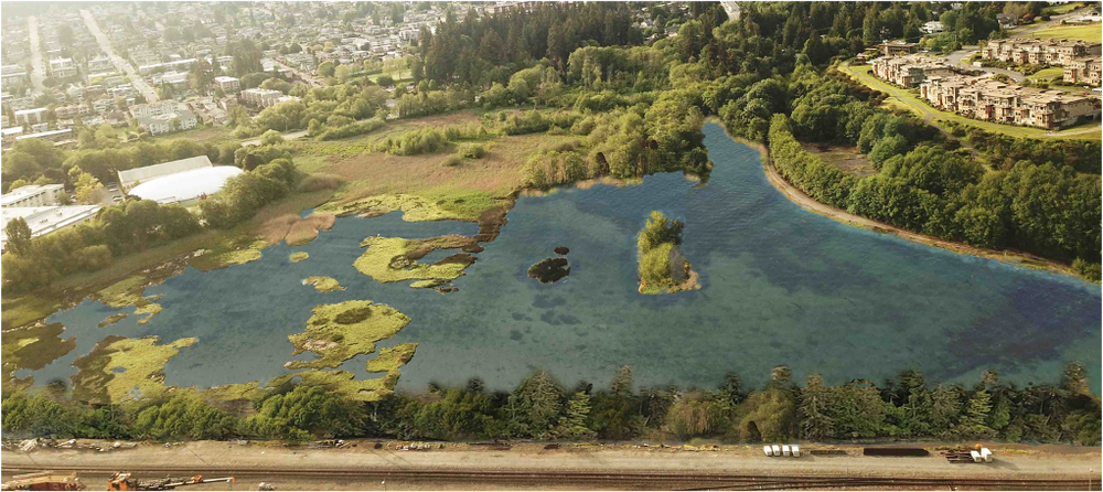 EDMONDS MARSH ESTUARY Advocates