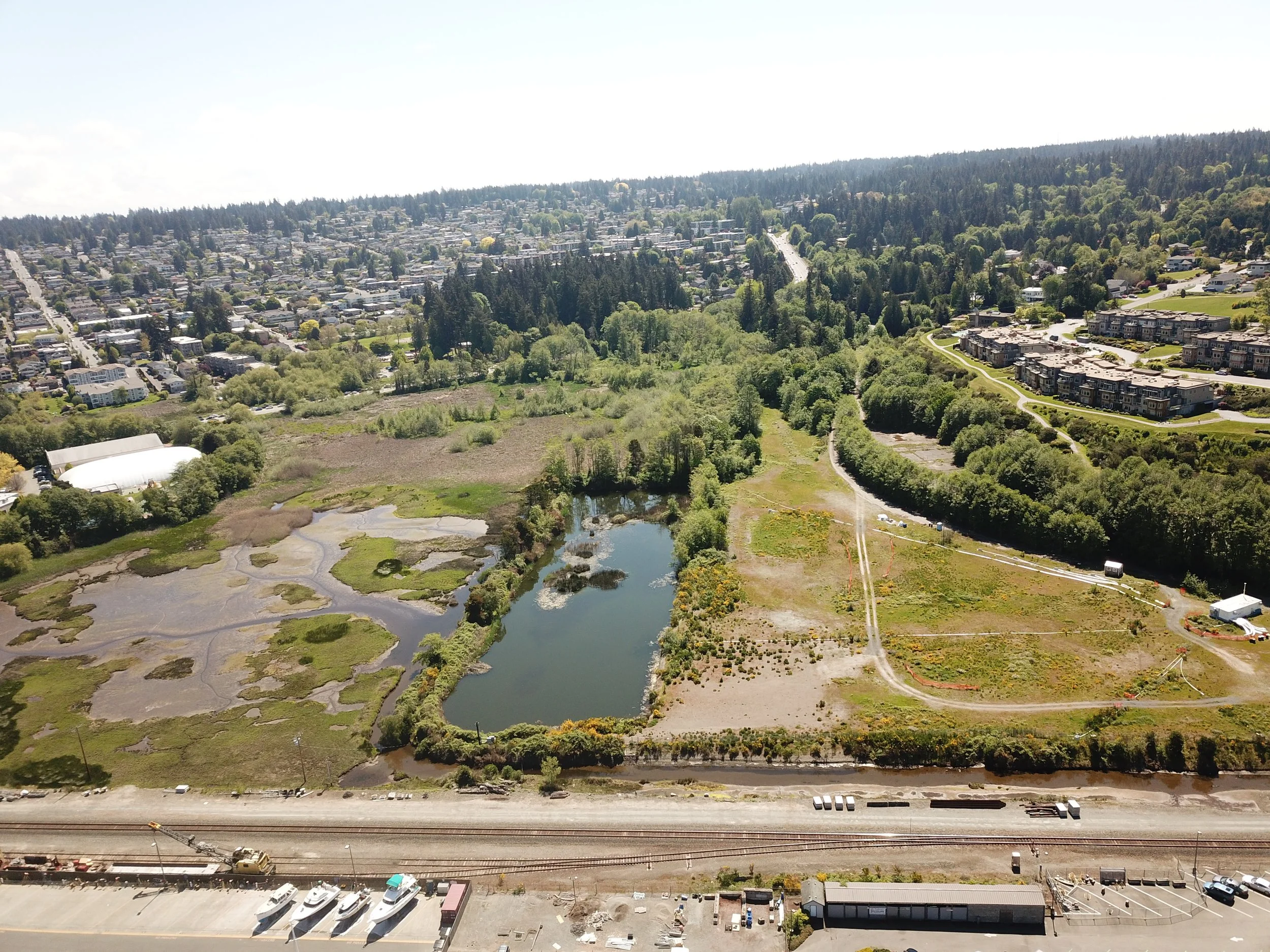 EDMONDS MARSH ESTUARY Advocates